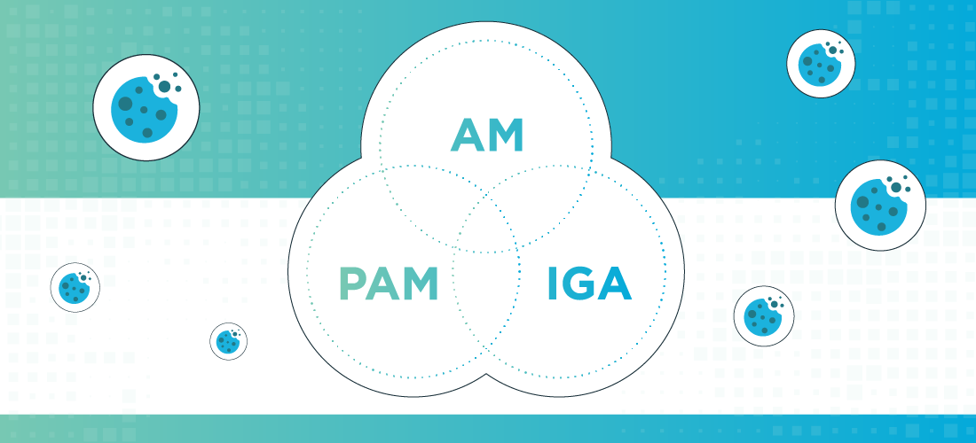 Strengthening Cyber Defenses: The Role of PAM and IGA - Privileged ...